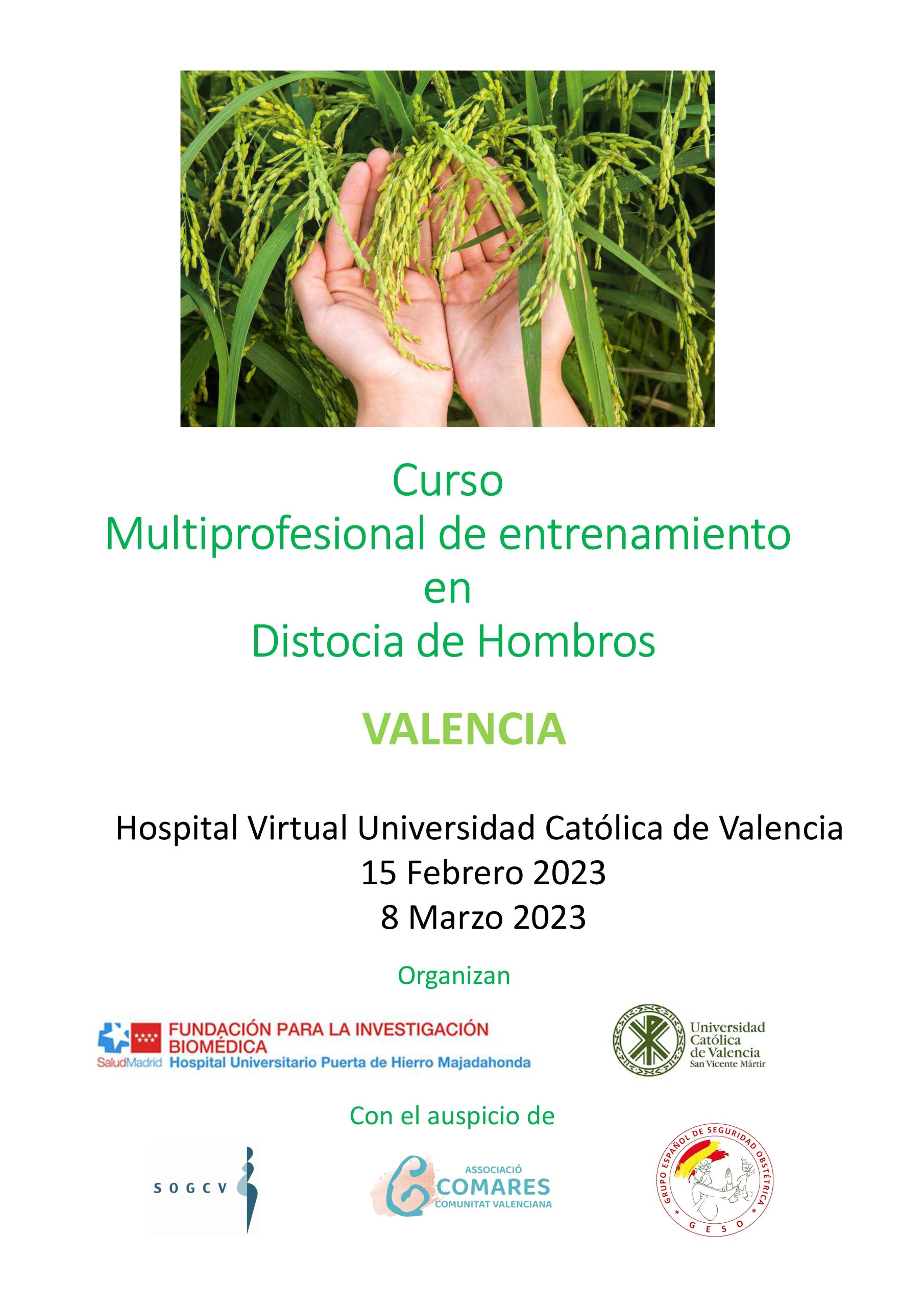 Curso Multiprofesional de entrenamiento en Distocia de Hombros – Matronas CV